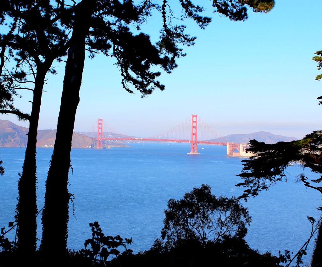 Lens-Artists Photo Challenge: Framing | scillagrace