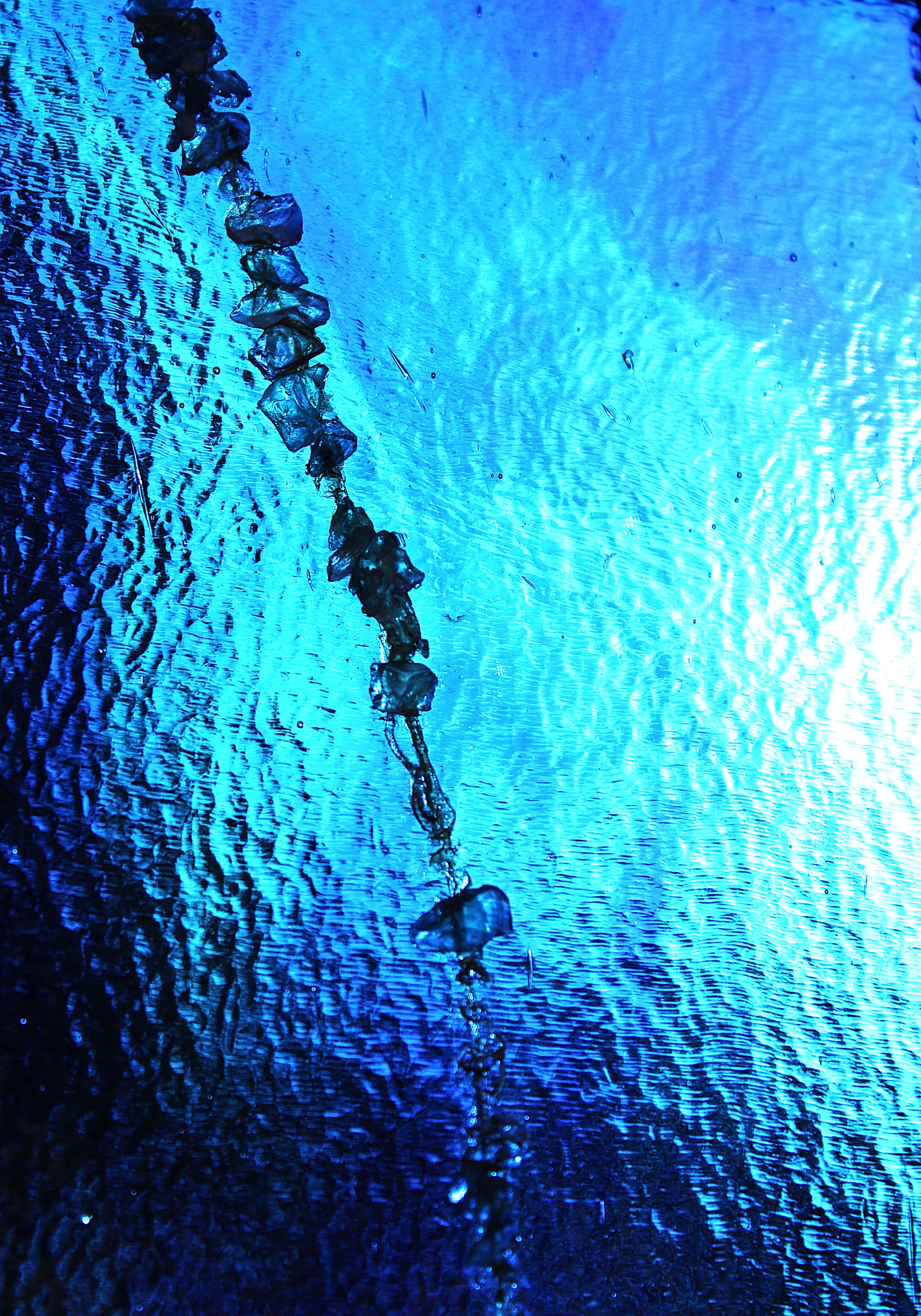 Lens-Artist Photo Challenge: There is a crack in everything | scillagrace